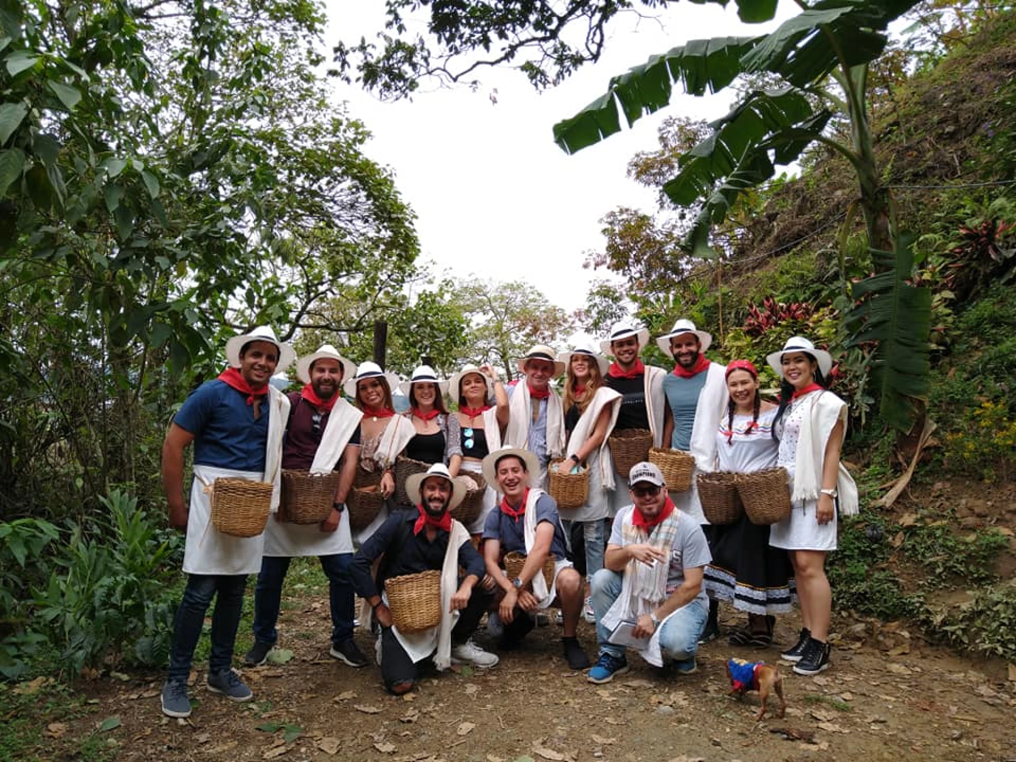 Coffee Tour En Medellín – Experiencia Cafetera Tour Del Café ...